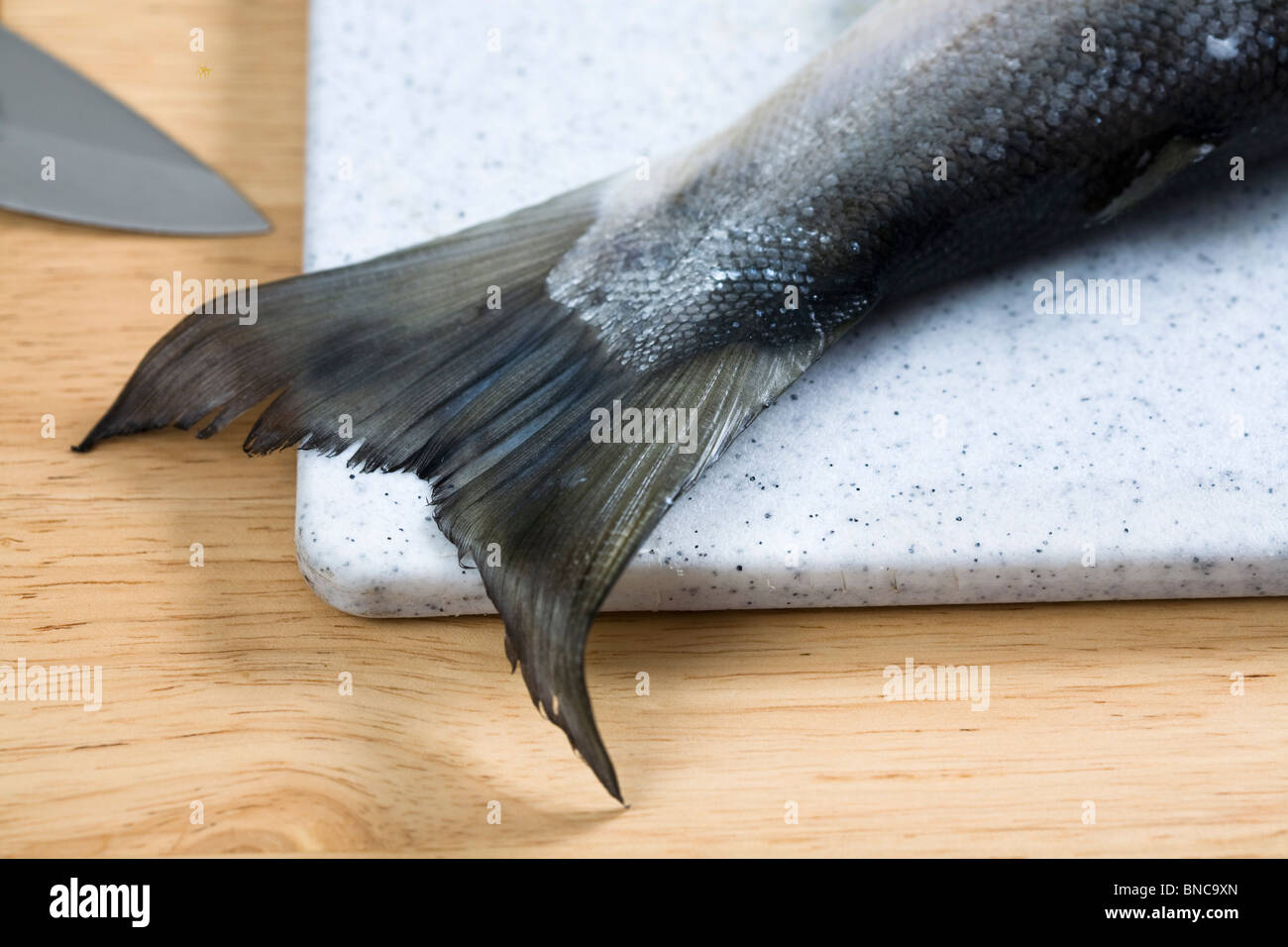 Salmon fillet tail hi-res stock photography and images - Alamy