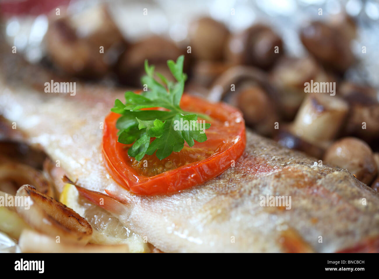 Trout fish food Stock Photo - Alamy