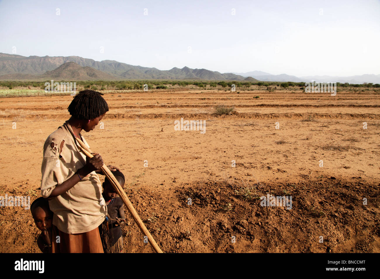 Tsemai woman farmer works in field with her children in Luca tribal ...
