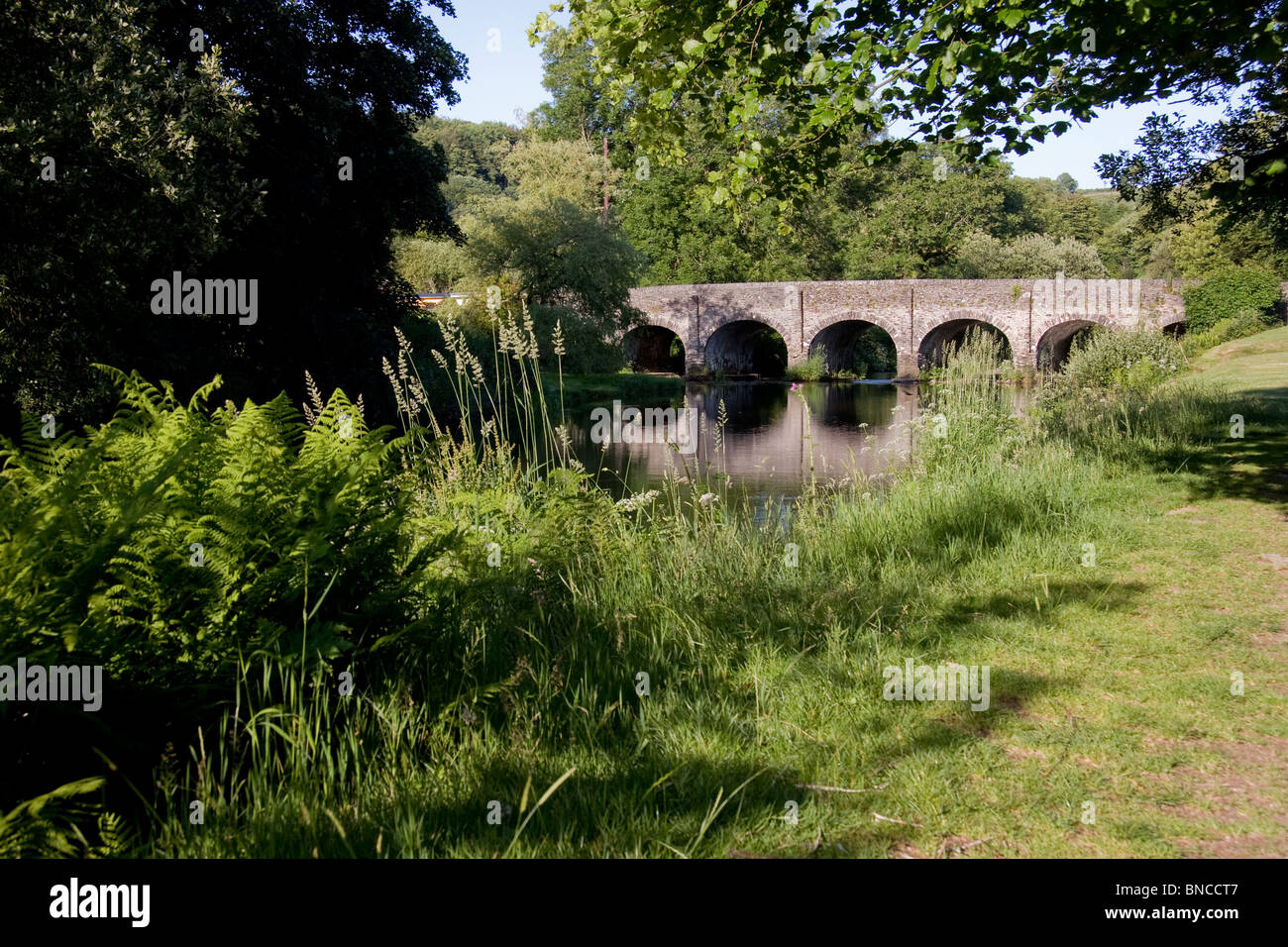 Bridge over river Barle in Exmoor national park Stock Photo - Alamy