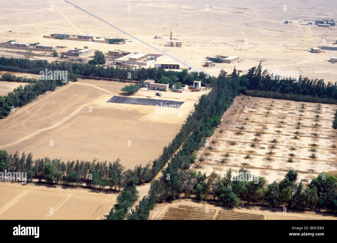 Uae 1970s hi-res stock photography and images - Alamy