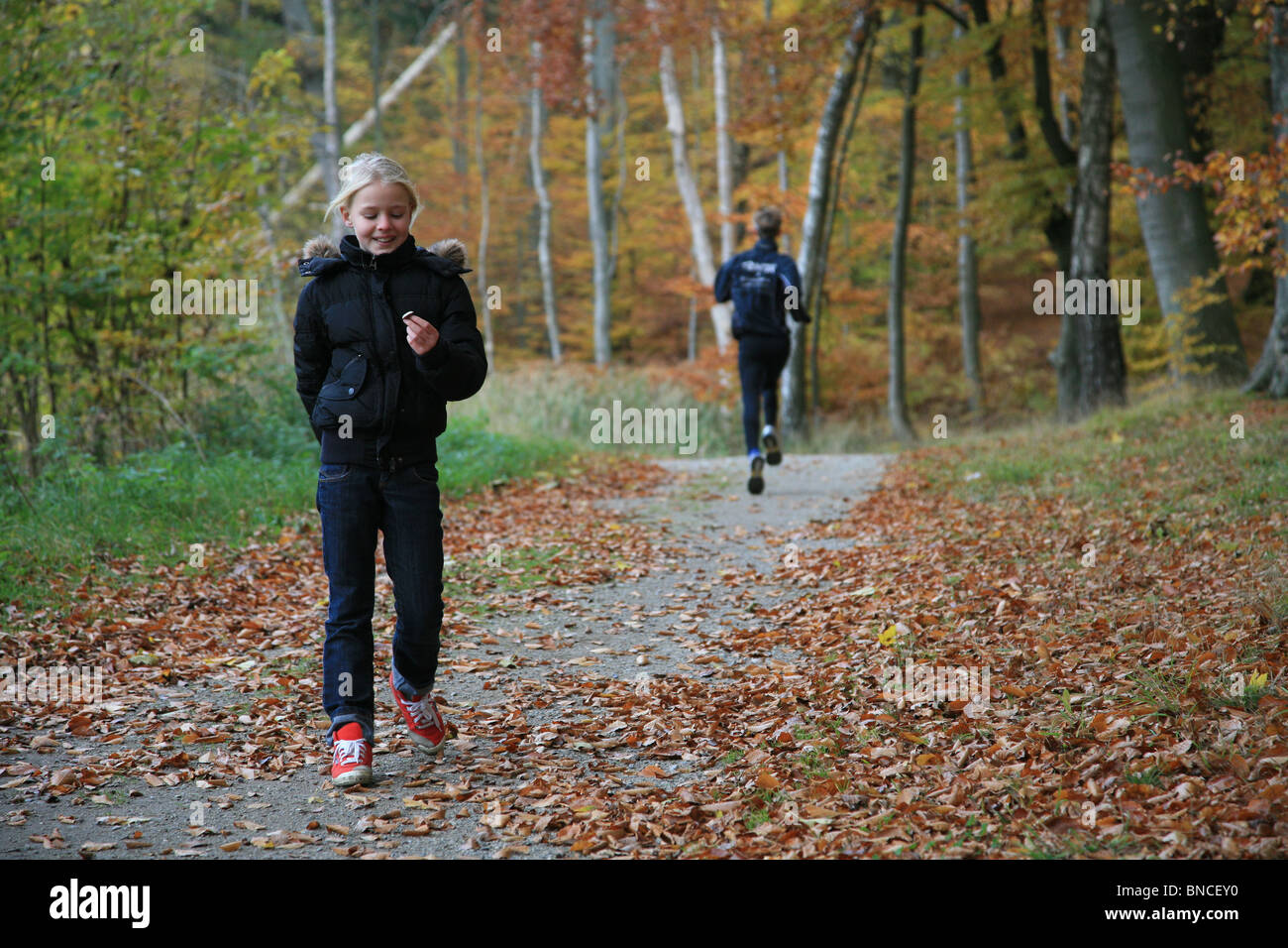 In a forest in fall in denmark Stock Photo - Alamy