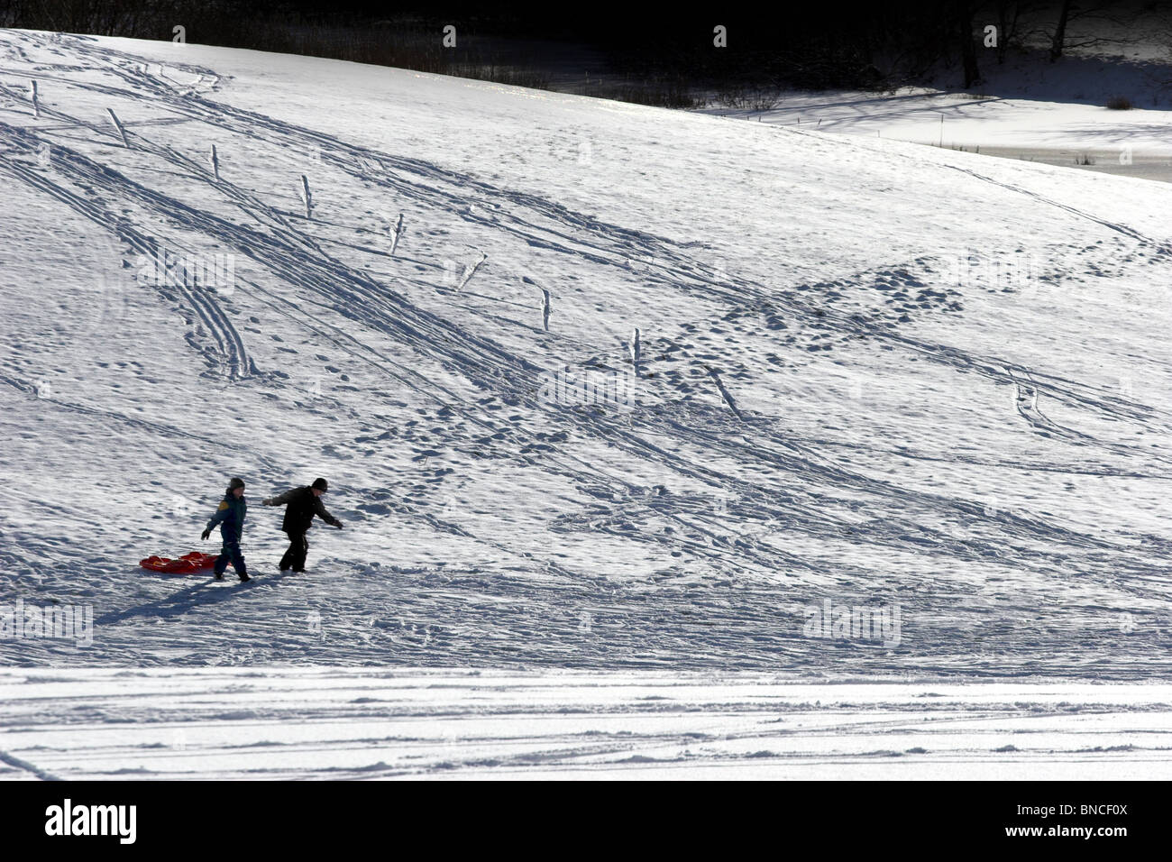 Kids enjoying winter in denmark Stock Photo - Alamy