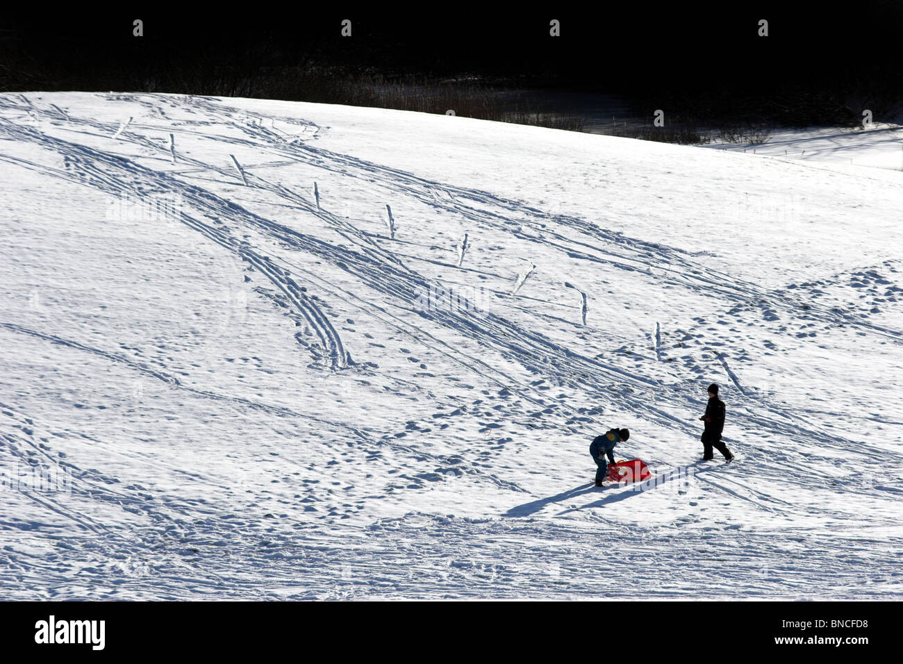 Kids with sled enjoying winter in denmark Stock Photo - Alamy