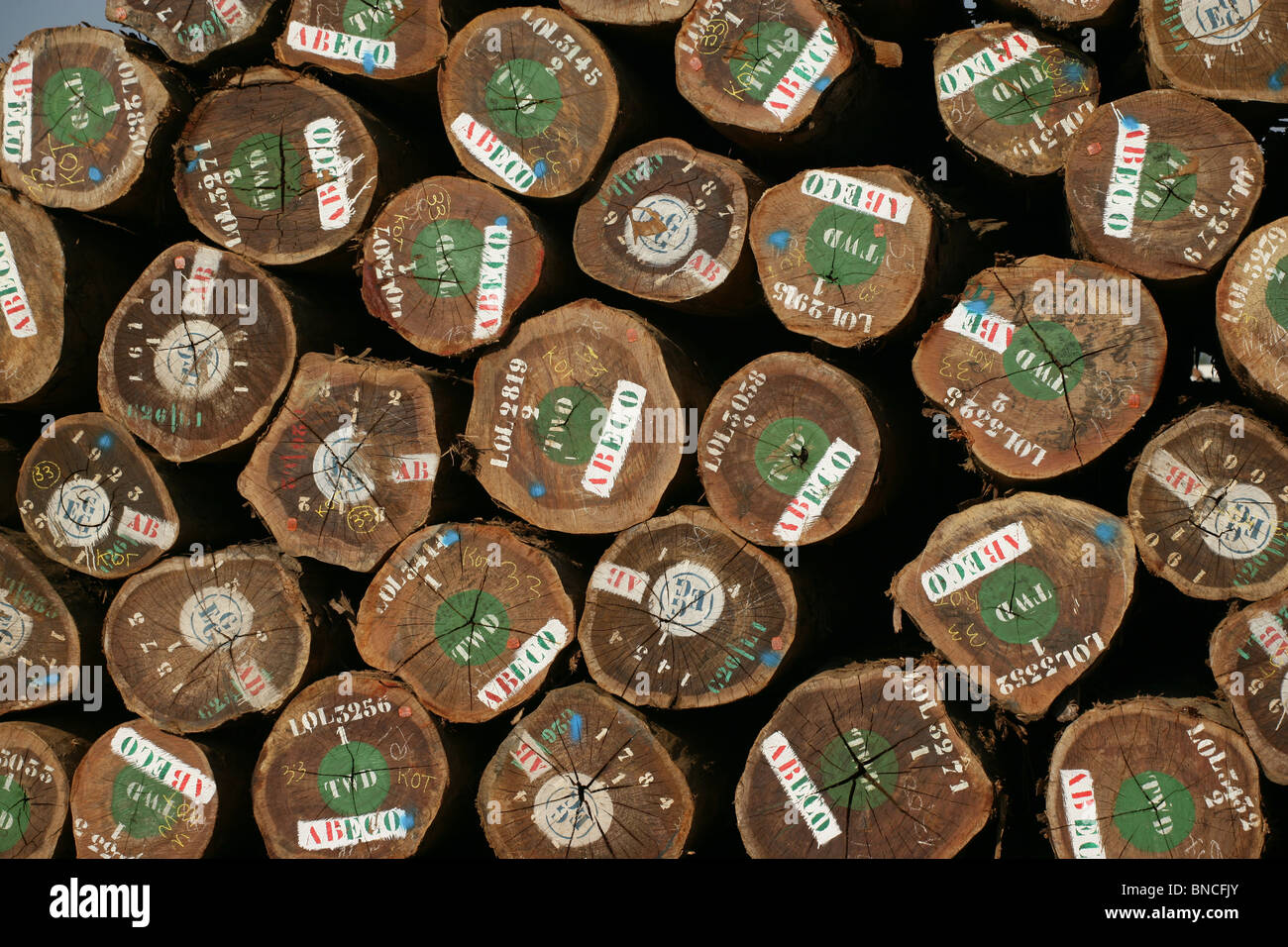 Importation of exotic wood Stock Photo - Alamy