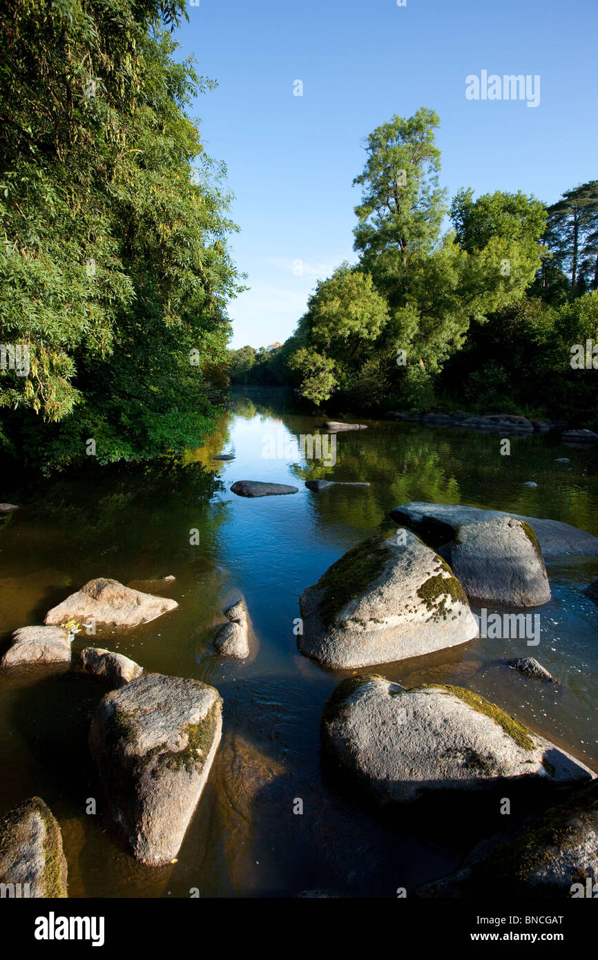 Banks of the Sèvre river Stock Photo - Alamy