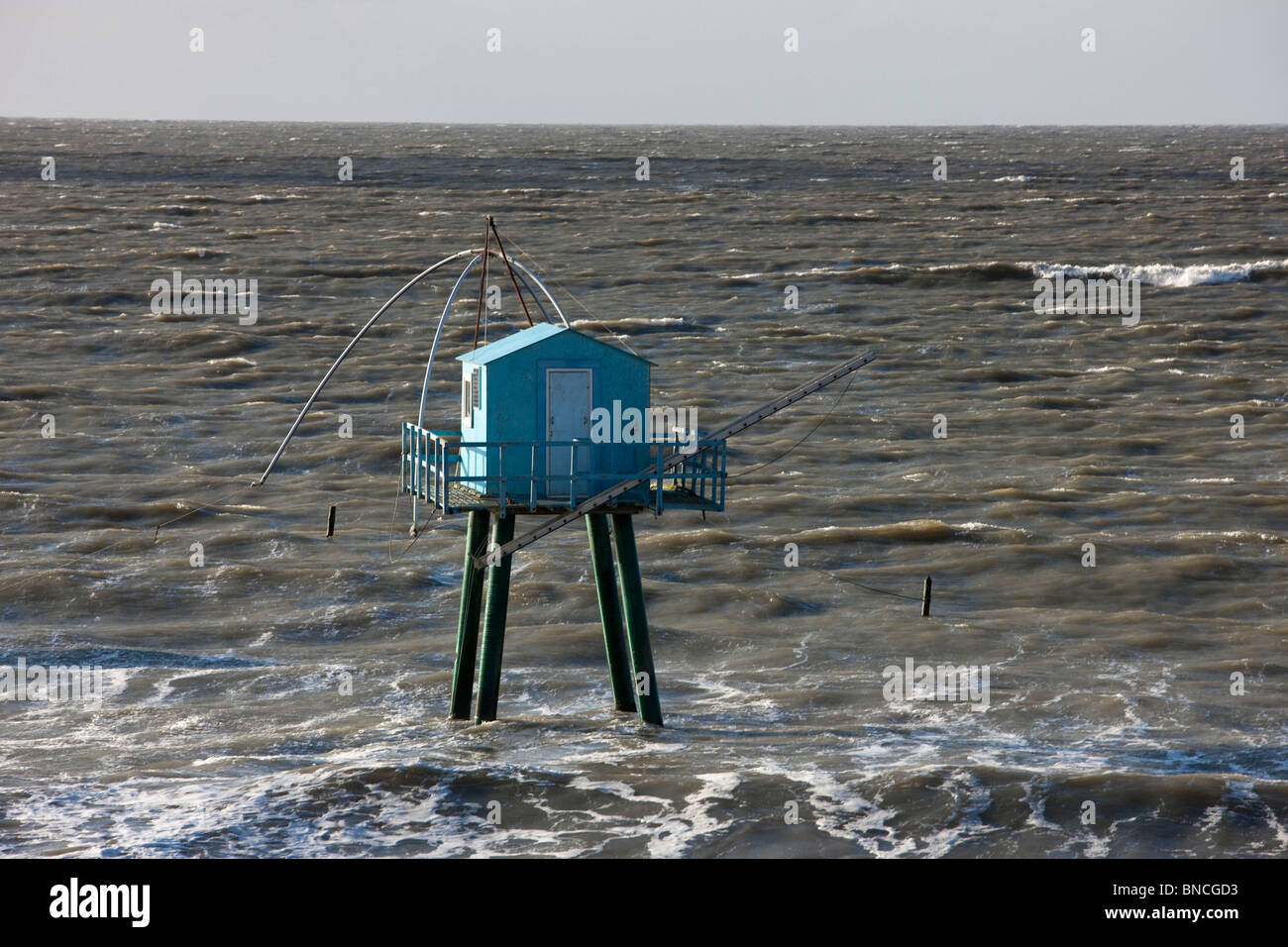 Plaice, square fishing net Stock Photo - Alamy