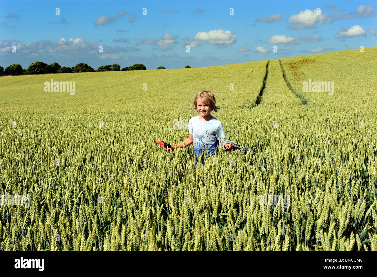 Running through corn field hi-res stock photography and images - Alamy