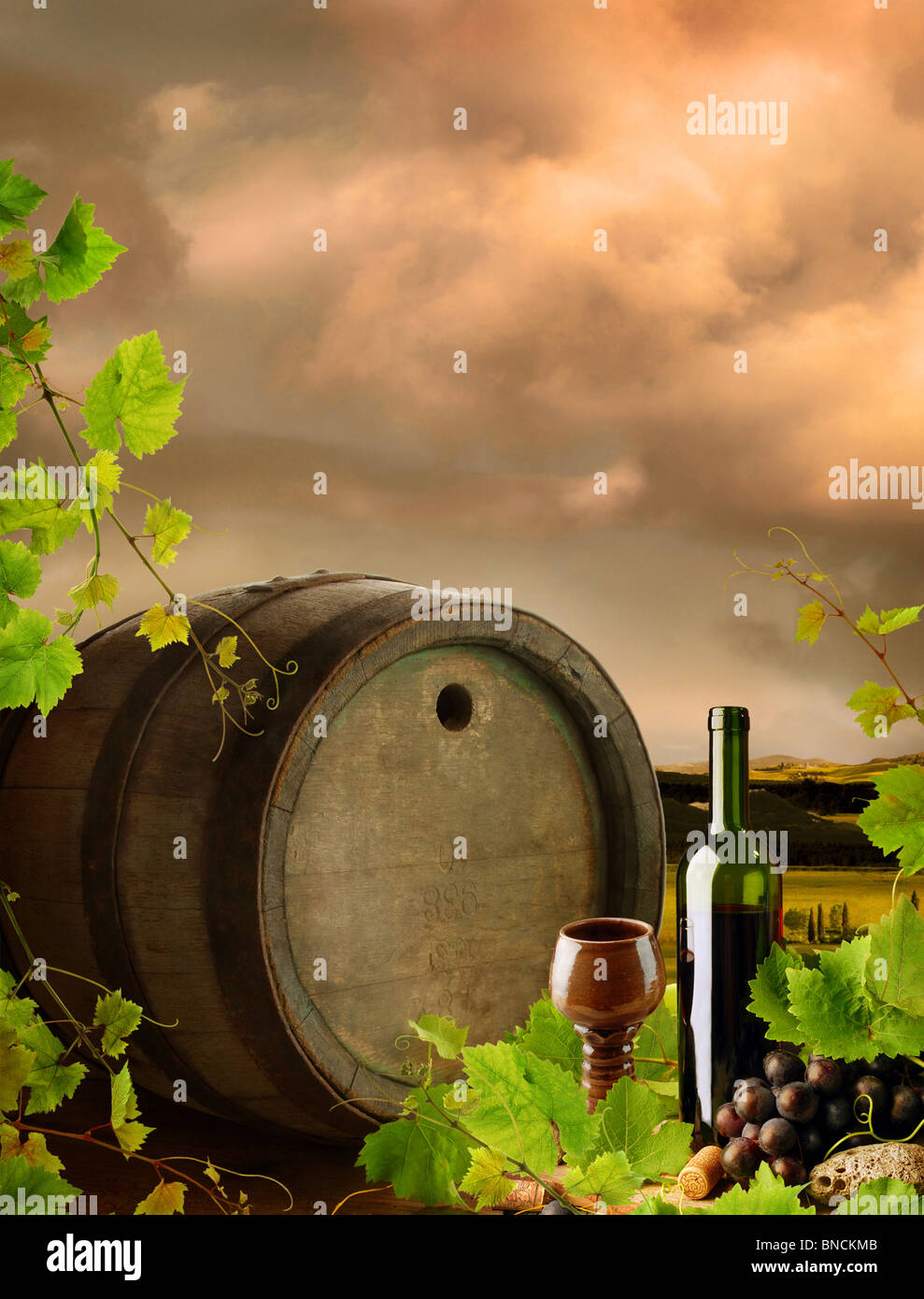 Wine still life Stock Photo - Alamy
