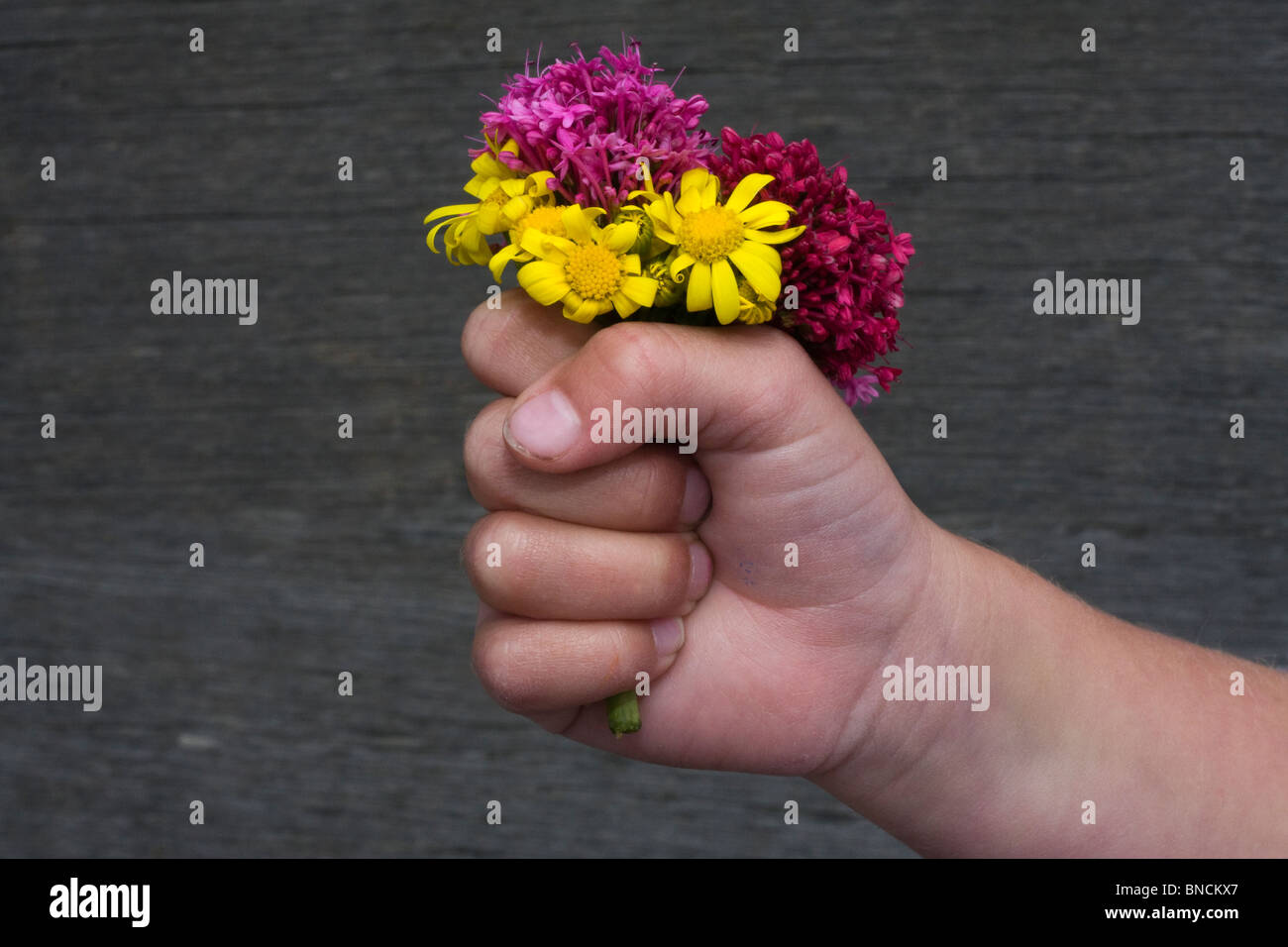 Close up of a child's hand holding flowers Stock Photo - Alamy