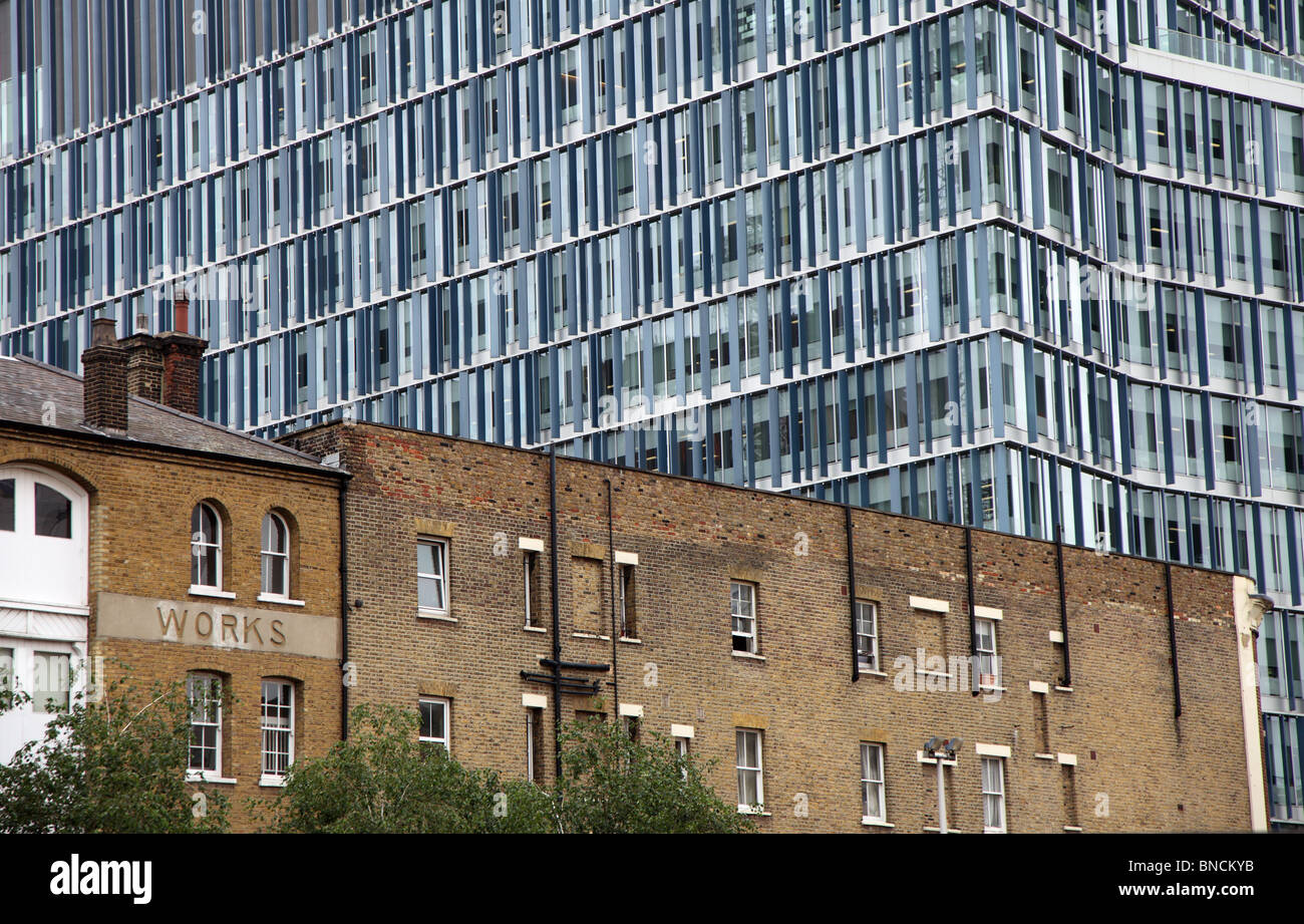 Blue fin hi-res stock photography and images - Alamy