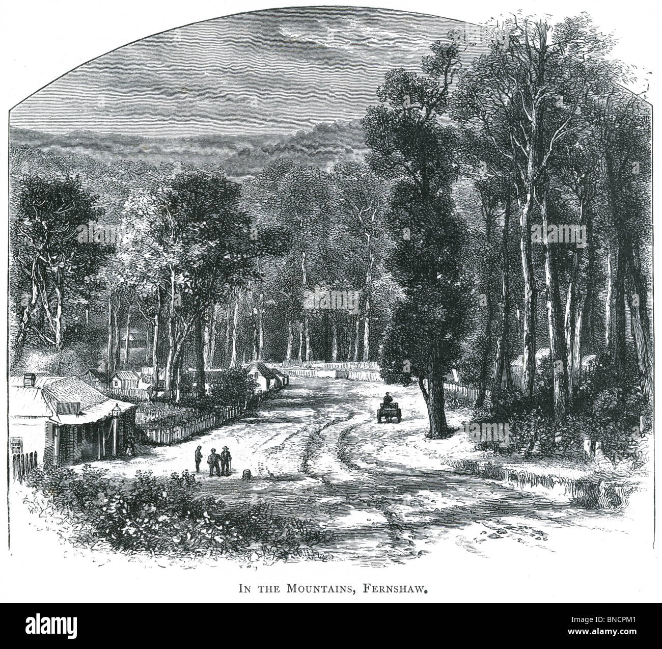 Fernshaw victoria hi-res stock photography and images - Alamy