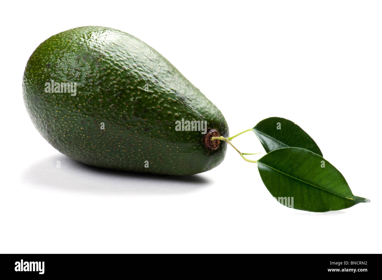 Close up avocado on Cut Out Stock Images & Pictures - Alamy