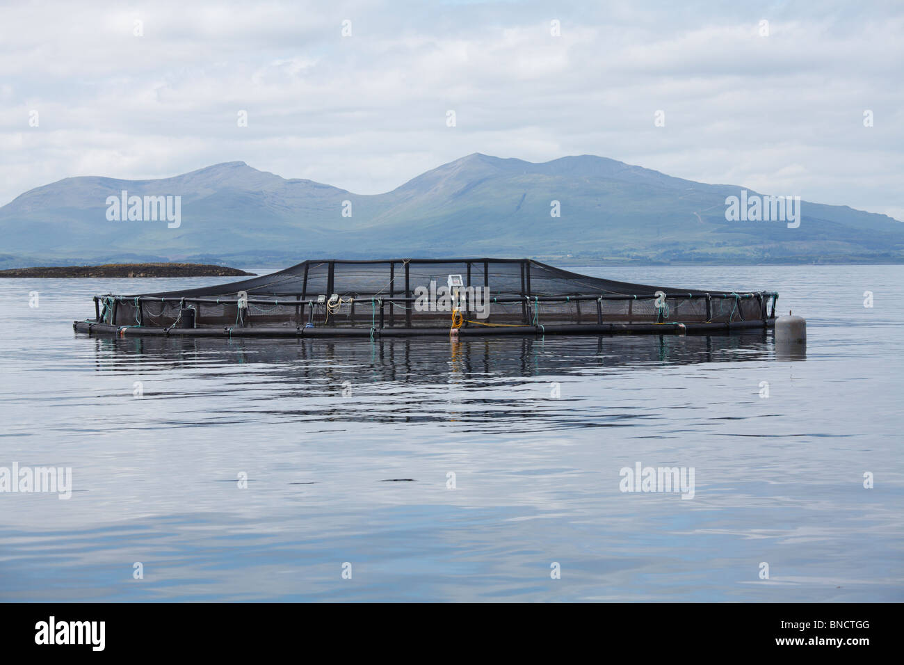 Fish farm uk hi-res stock photography and images - Alamy
