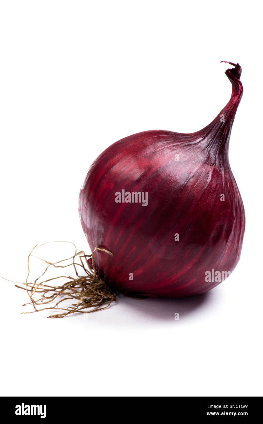 object on white - food Red onion close up Stock Photo - Alamy