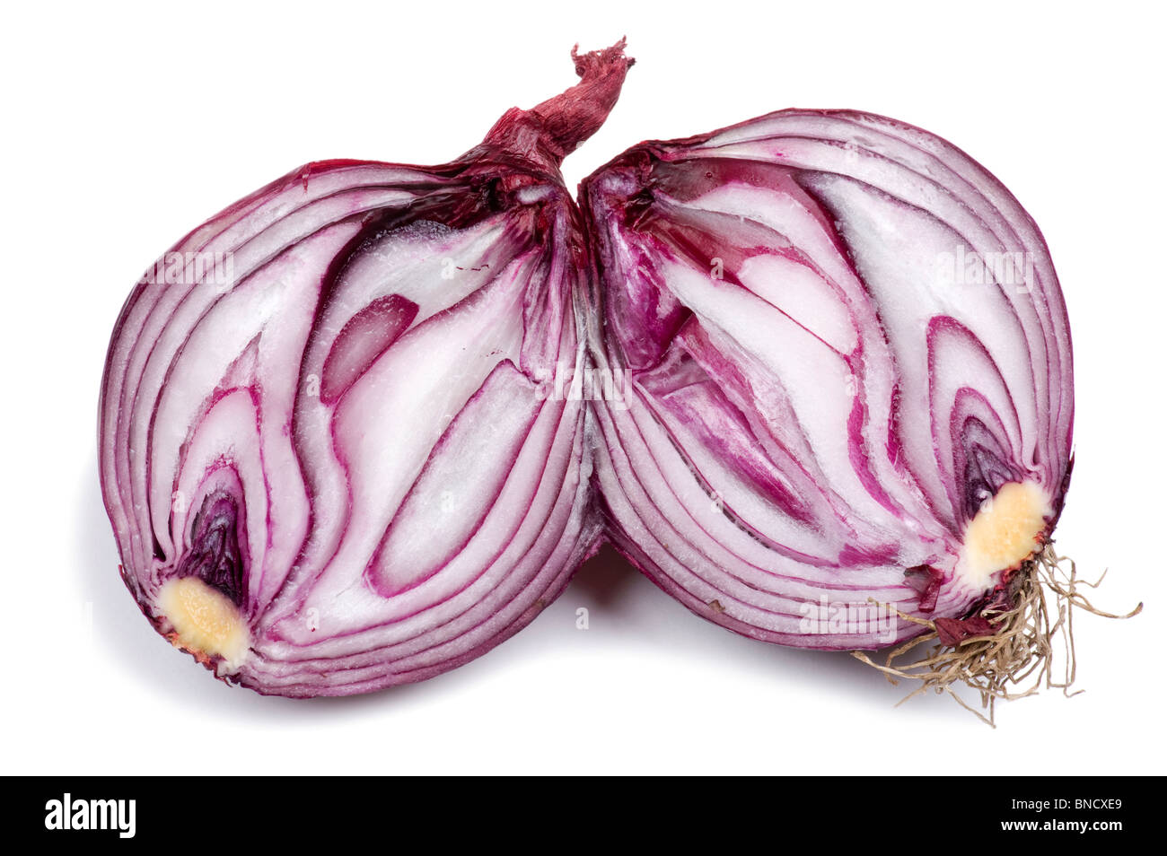 object on white - food Red onion close up Stock Photo - Alamy