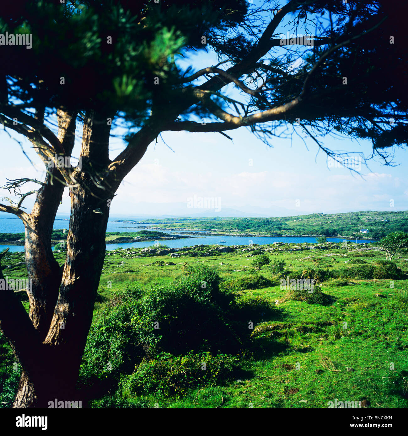 KENMARE RIVER COULAGH BAY BEARA PENINSULA COUNTY CORK IRELAND Stock ...