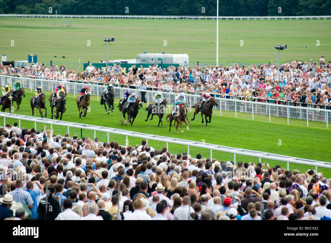 At the Races Stock Photo - Alamy