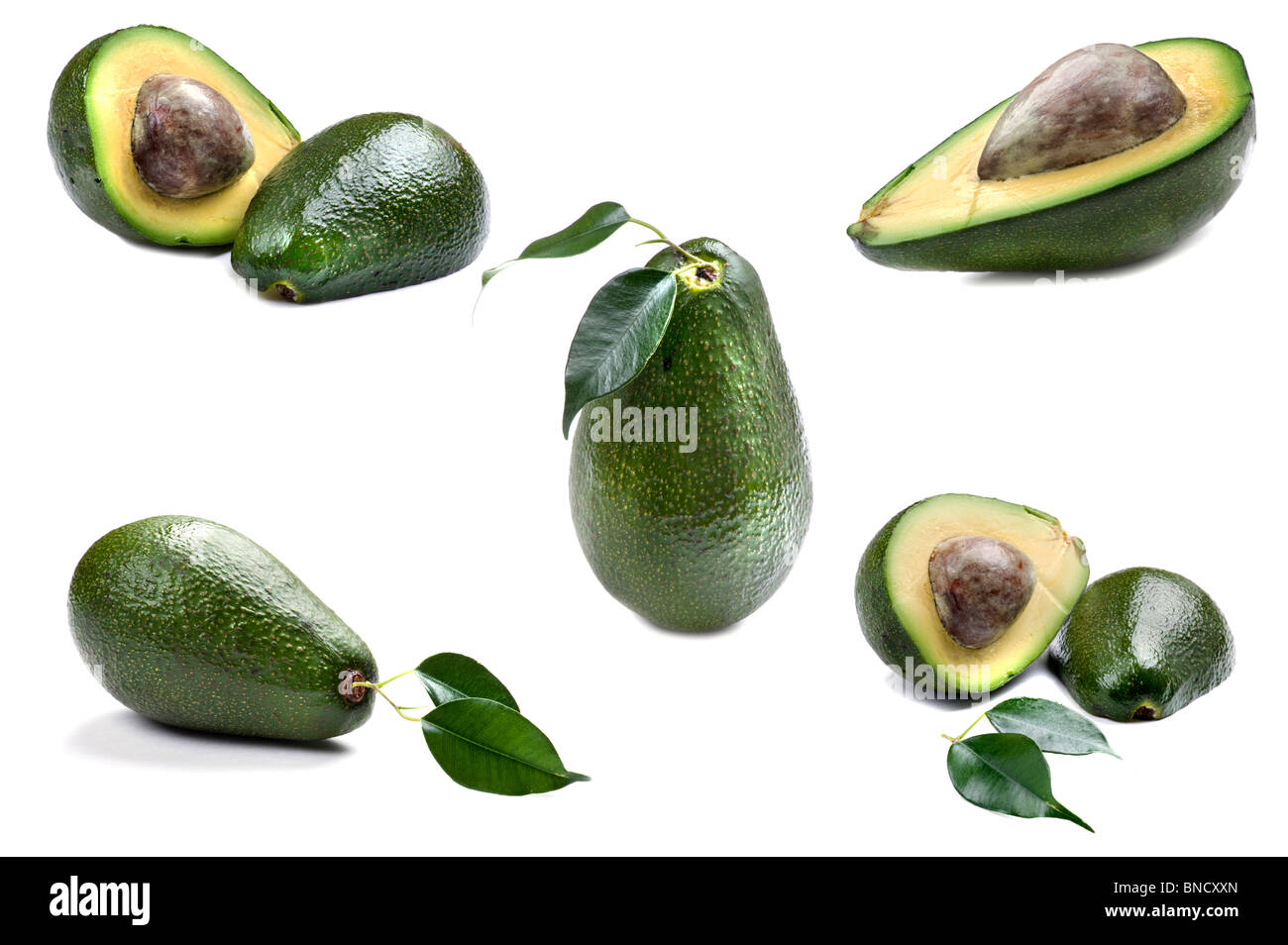 object on white - food avocado close up Stock Photo - Alamy