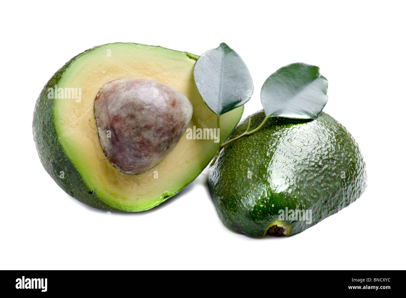 object on white - food avocado close up Stock Photo - Alamy