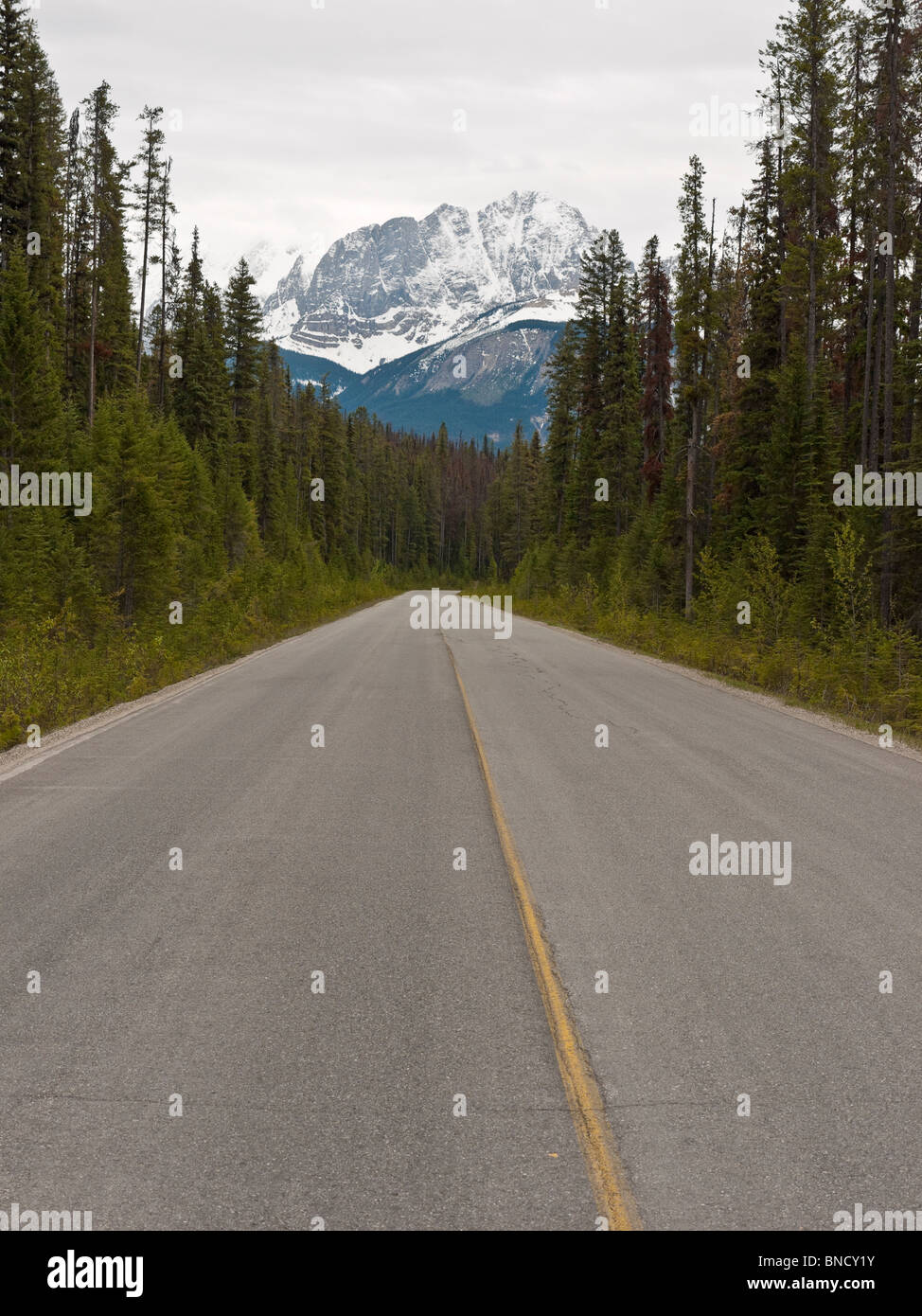 Empty straight road with Mt Vaux in the background. Yoho National Park ...