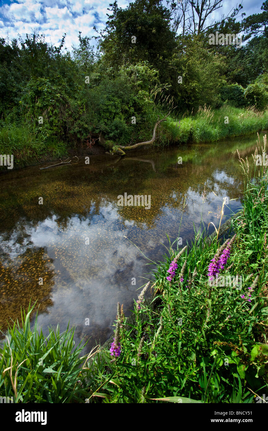 Forded road hi-res stock photography and images - Alamy
