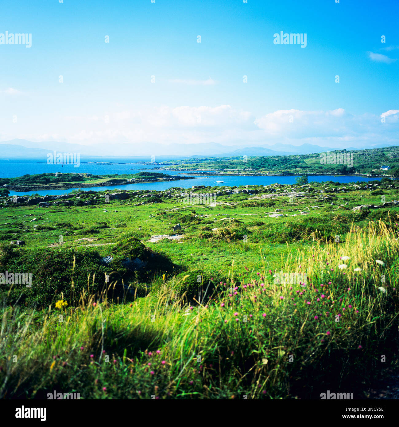 Peninsulas of ireland hi-res stock photography and images - Alamy