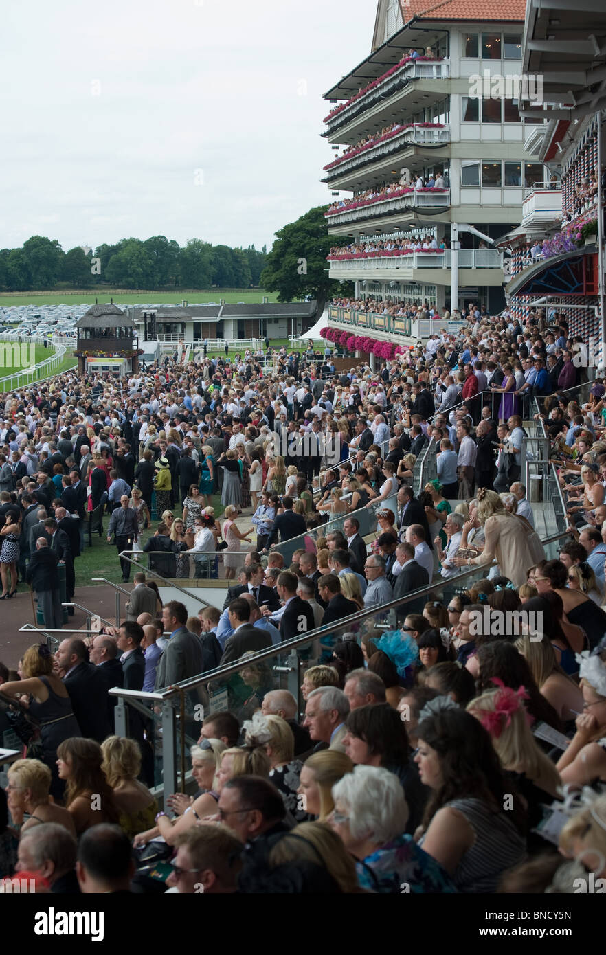The County Stand at York Stock Photo - Alamy