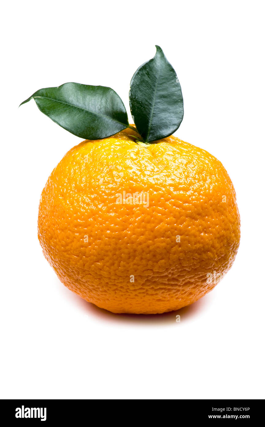 object on white - food orange close up Stock Photo - Alamy