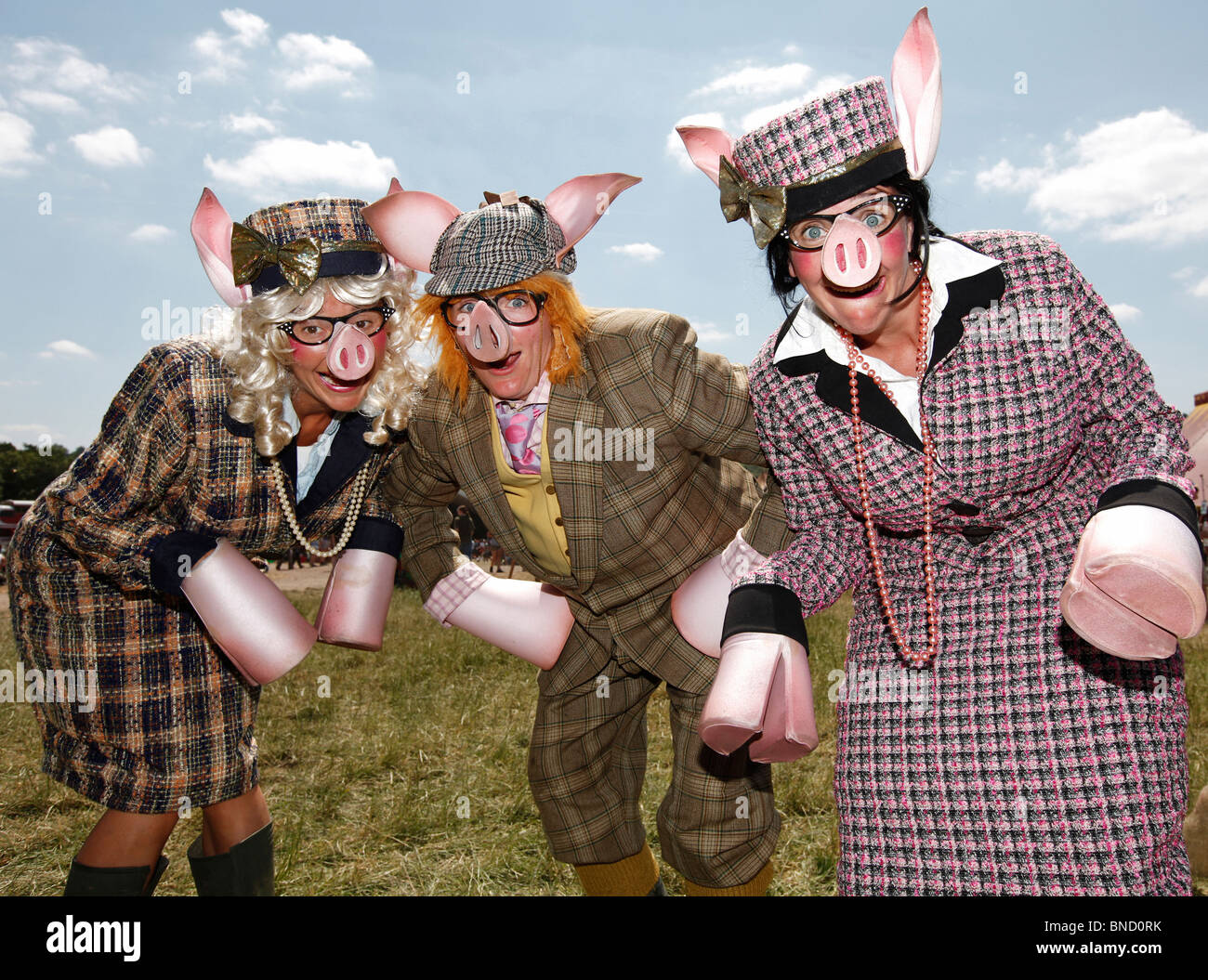 Women dressed as pigs hi-res stock photography and images - Alamy