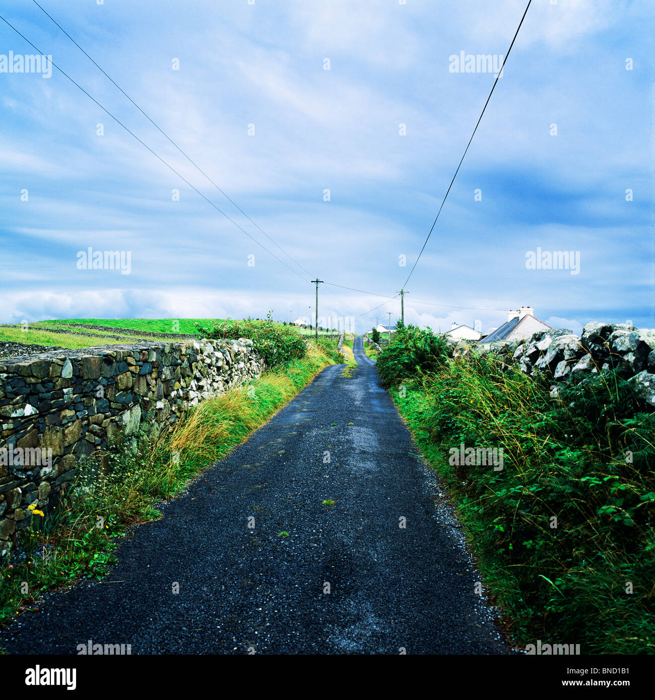 COUNTRY ROAD CONNEMARA COUNTY GALWAY IRELAND Stock Photo - Alamy