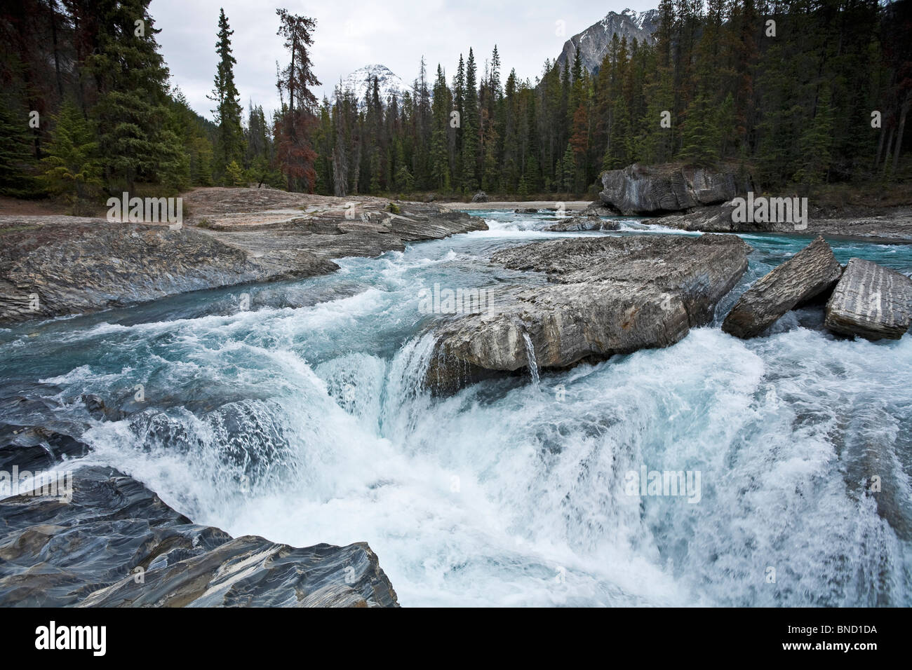 Natural Bridge Falls in Yoho National Park BC Canada Stock Photo - Alamy