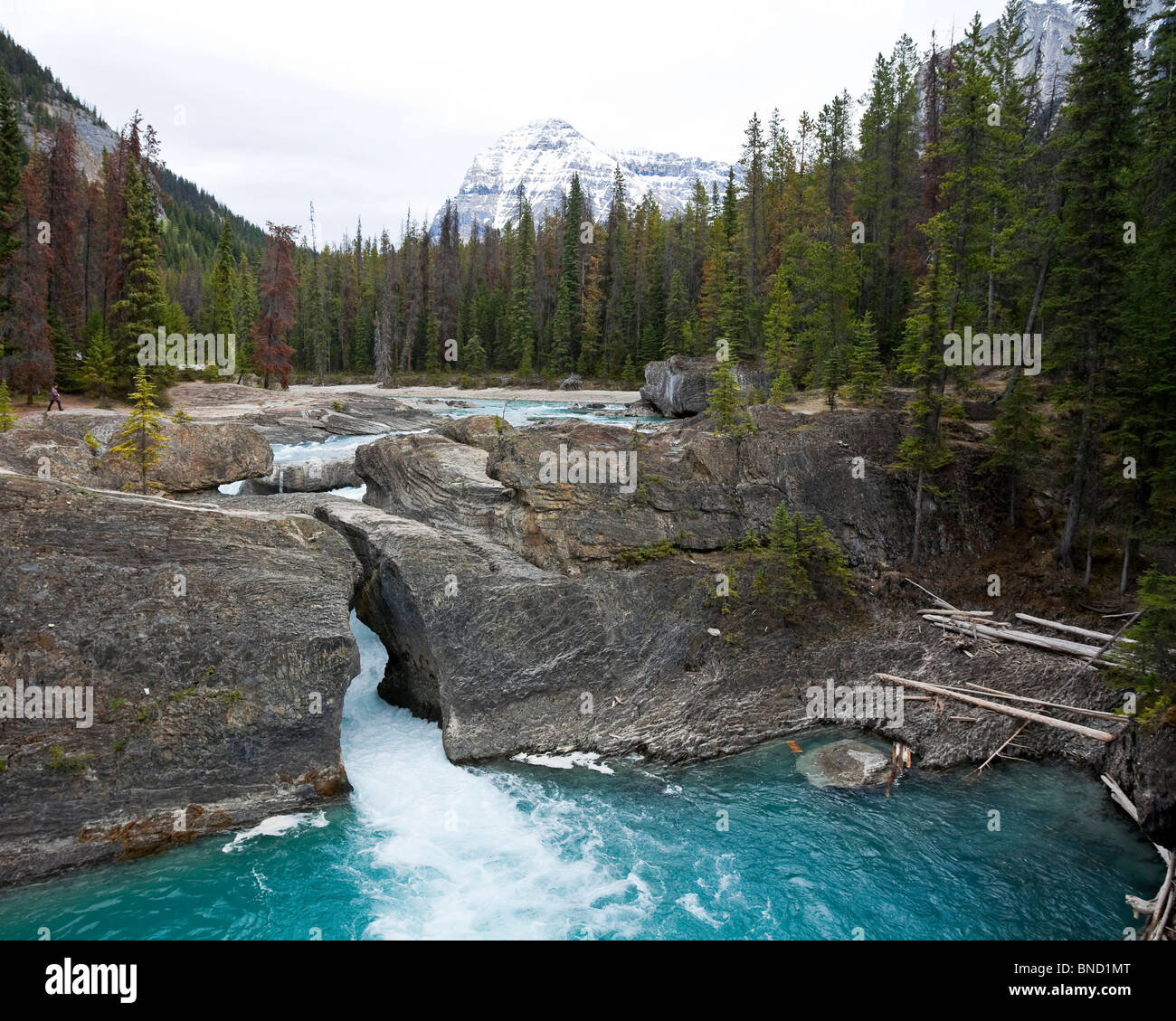 Natural Bridge rock formation over Kicking Horse River Mt Stephen in ...