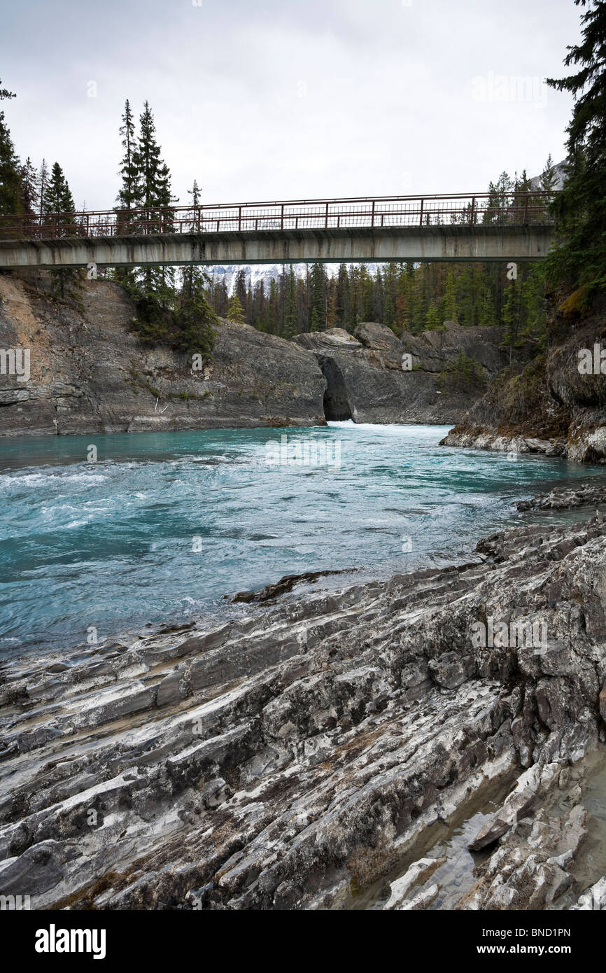 Tourist bridge over Kicking Horse River Yoho National Park BC Canada ...