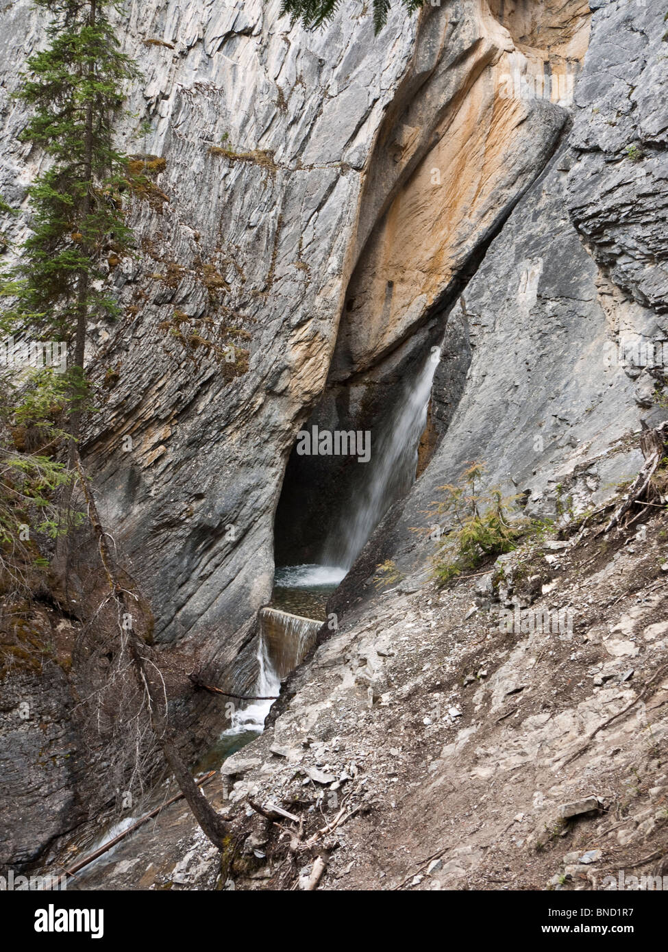 Emerald lake in yoho national park hi-res stock photography and images ...