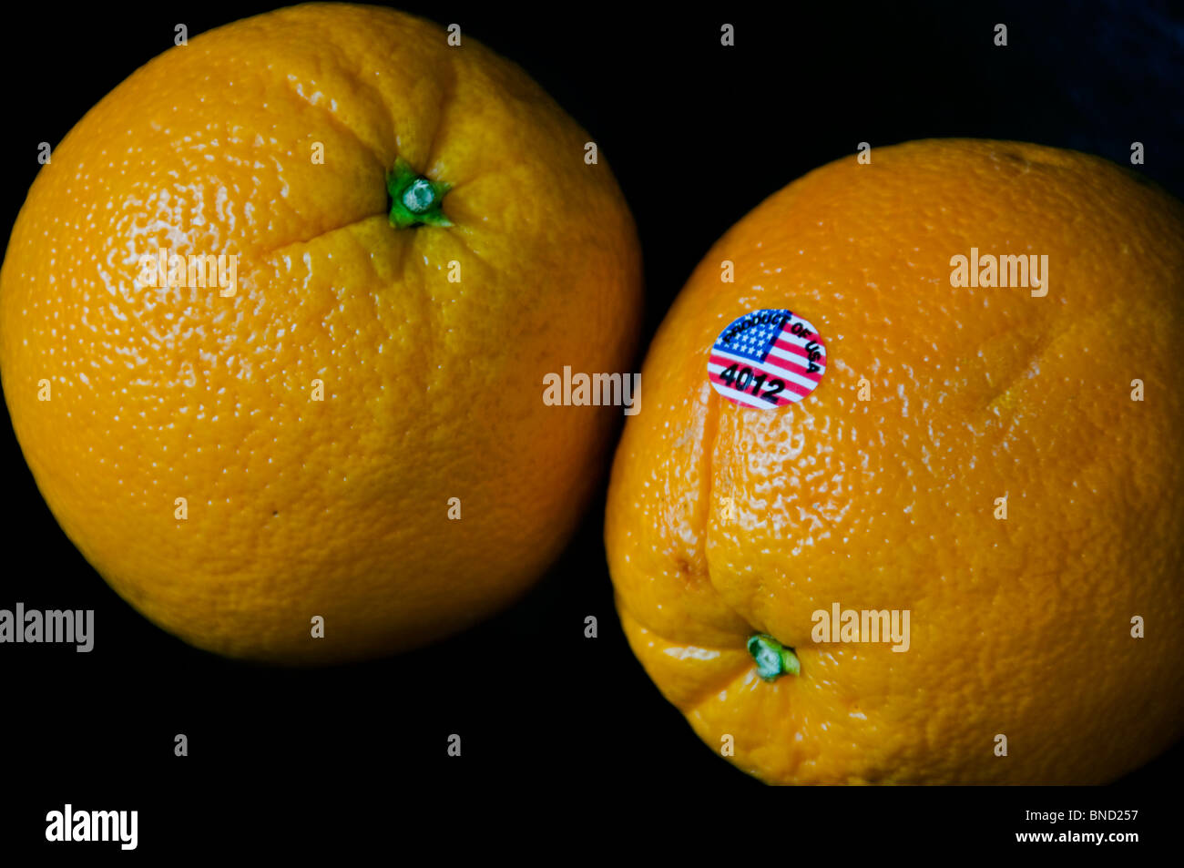 Two oranges, one with a USA sticker on skin Stock Photo - Alamy