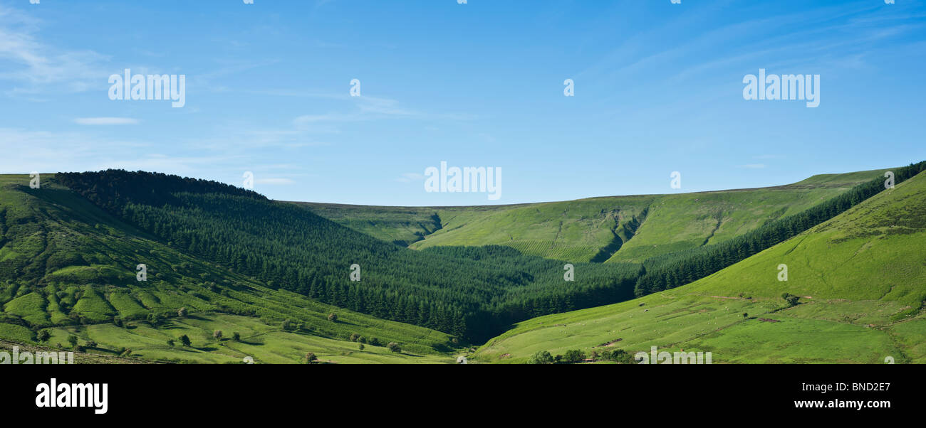 Hillside forest plantation on backside of Hay Bluff, near Gospel Pass ...