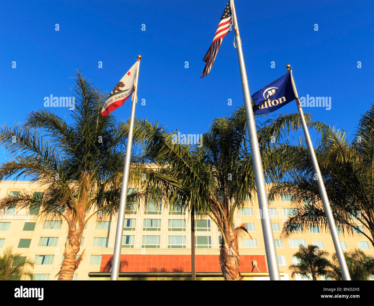 Hilton flag hi-res stock photography and images - Alamy