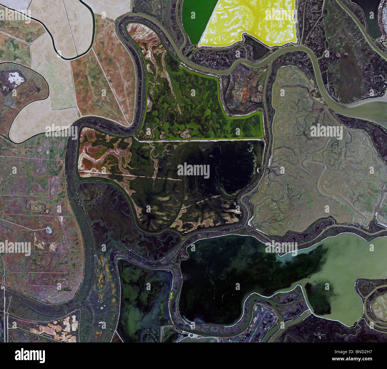 aerial map view above diked wetlands salt ponds tidal marsh Napa ...