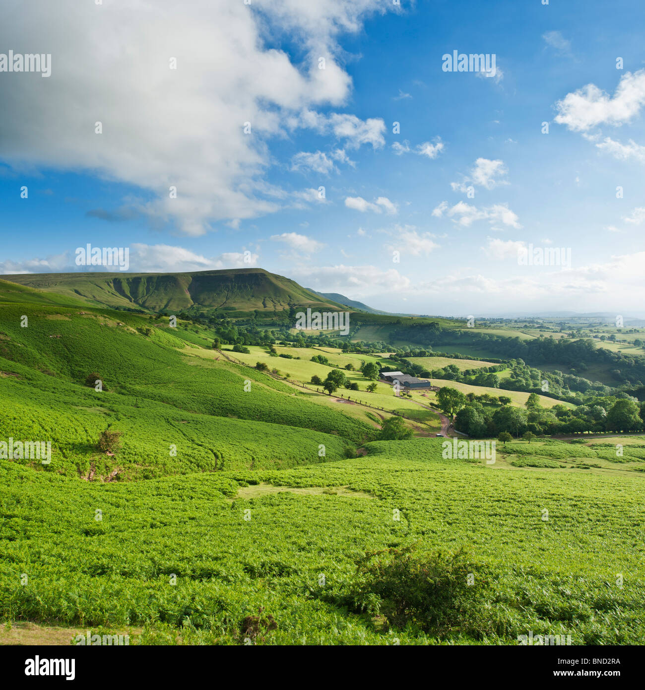 Hay bluff hi-res stock photography and images - Alamy