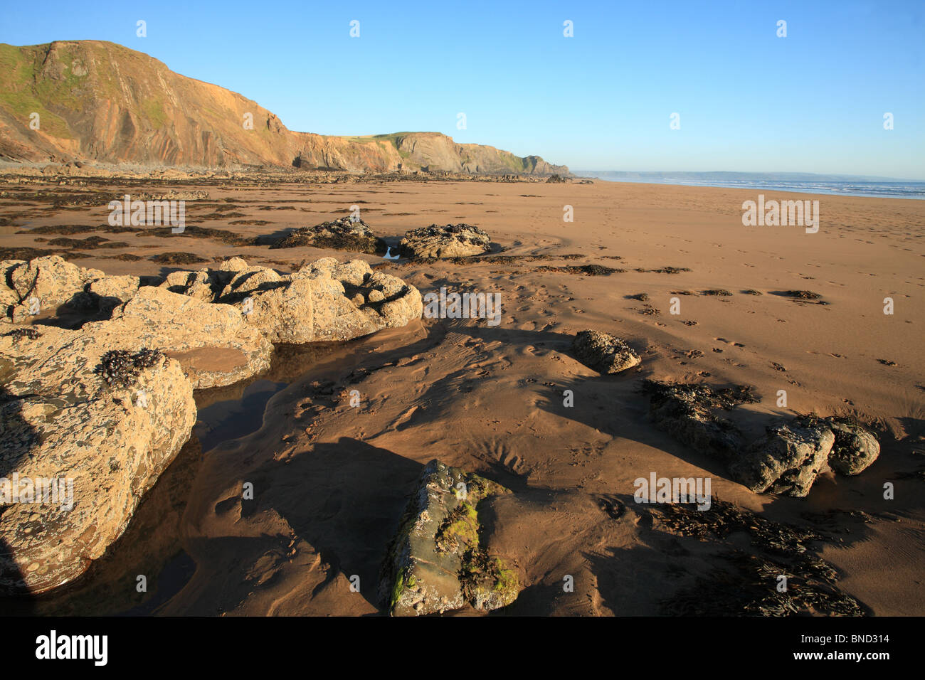 Sandymouth Bay, near Bude, North Cornwall, England, UK Stock Photo - Alamy