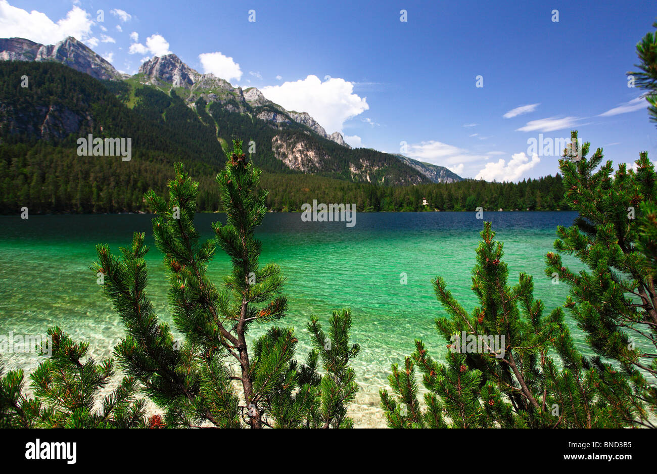 Nice view lake on sunny hi-res stock photography and images - Alamy