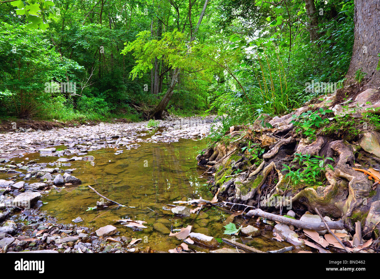 Creek midwest hi-res stock photography and images - Alamy