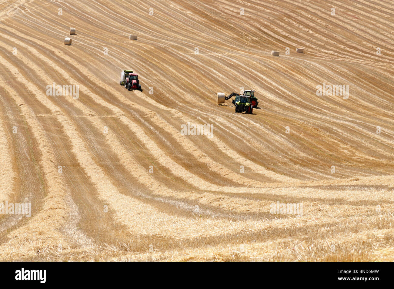 Stock photo of tractors harvesting wheat and making straw bales in ...