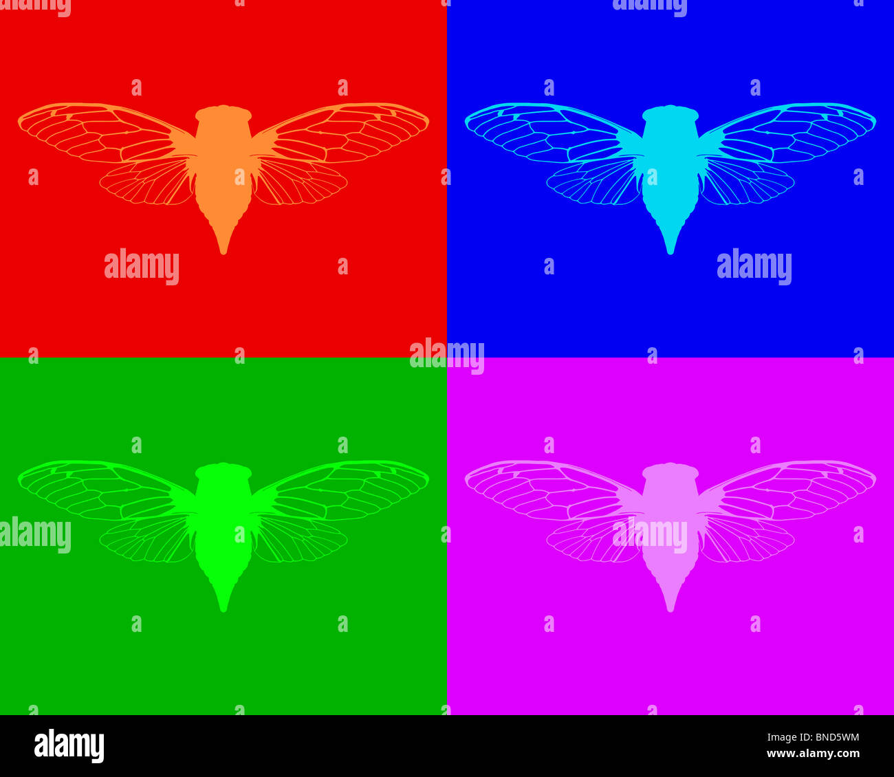 Cicadas illustration hi-res stock photography and images - Alamy