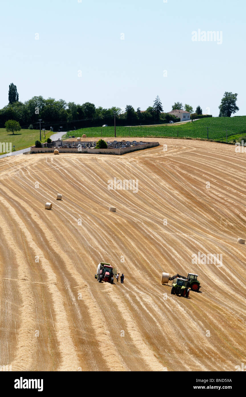 Stock photo of tractors harvesting wheat and making straw bales in ...