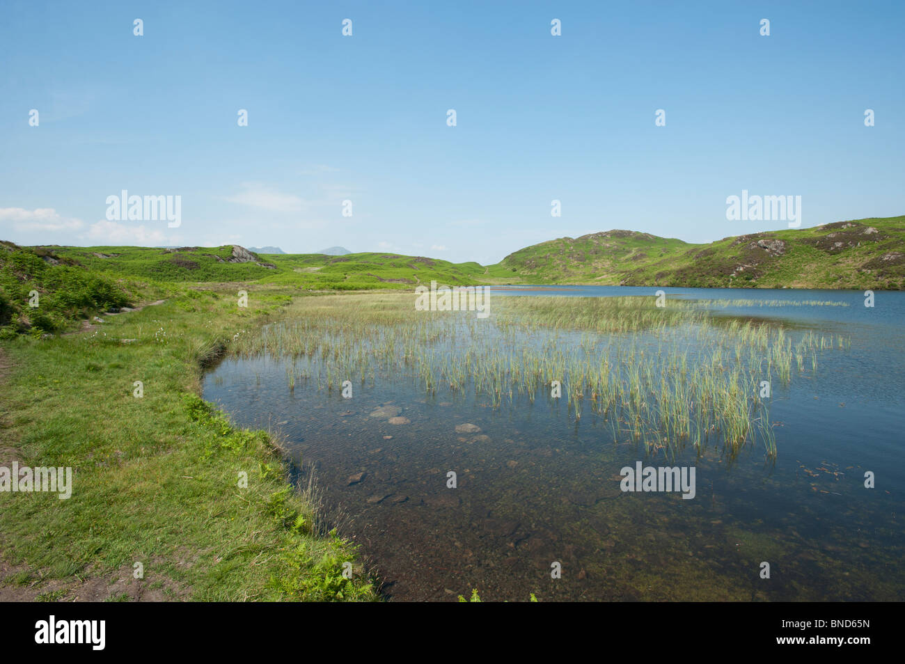 Beacon tarn lake district hi-res stock photography and images - Alamy