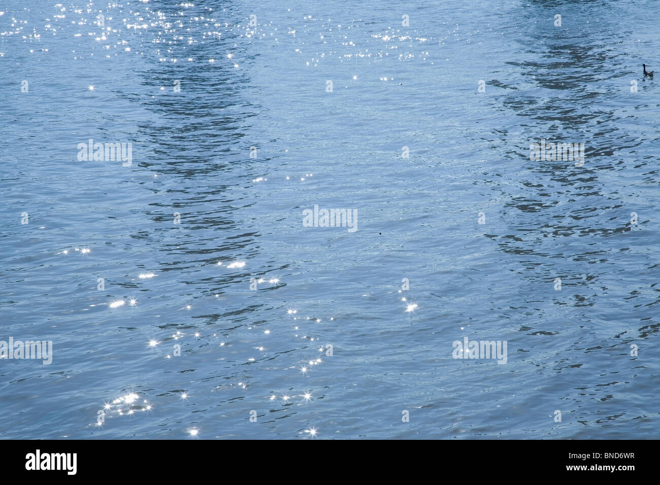 close up of calm River water in the summer Stock Photo - Alamy