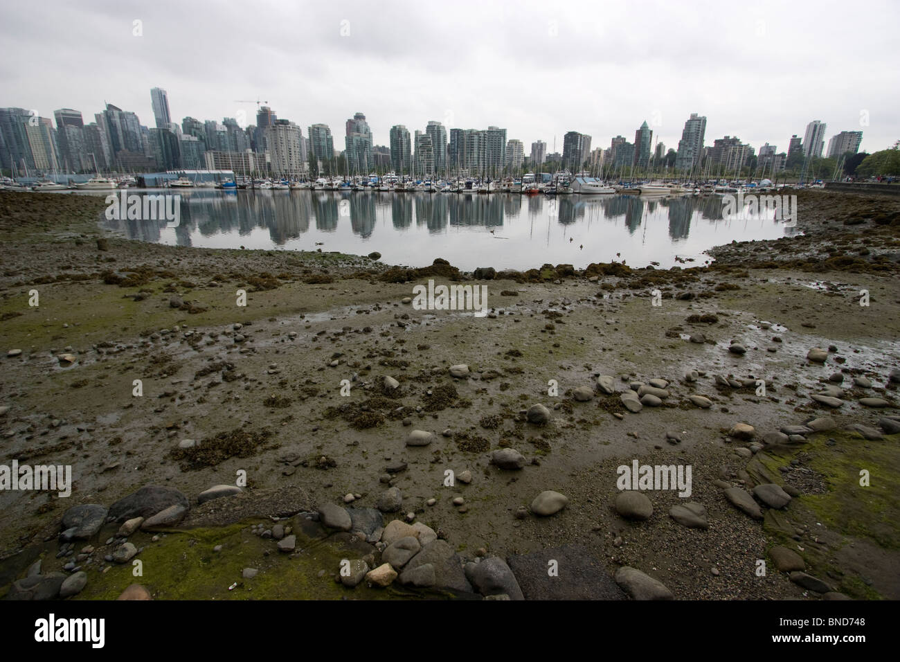 Vancouver's city view showcases a striking skyline of modern, glass ...