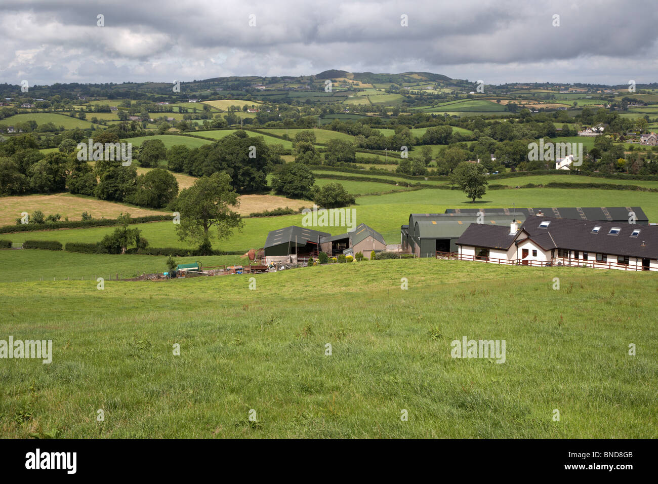 rural farming landscape near Rathfriland county down northern ireland ...